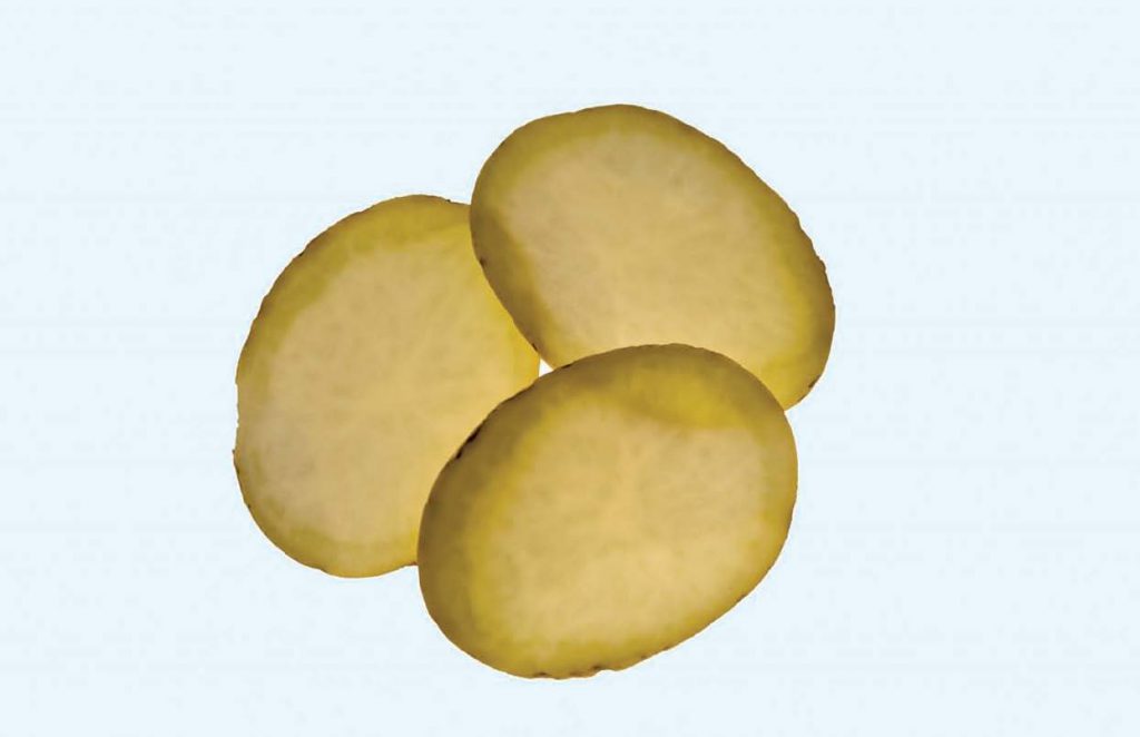 Polímeros biodegradables: una alternativa de futuro a la sostenibilidad ...