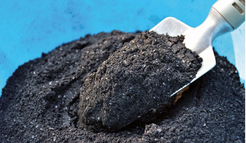 Biochar: Más Alla de lo Convencional